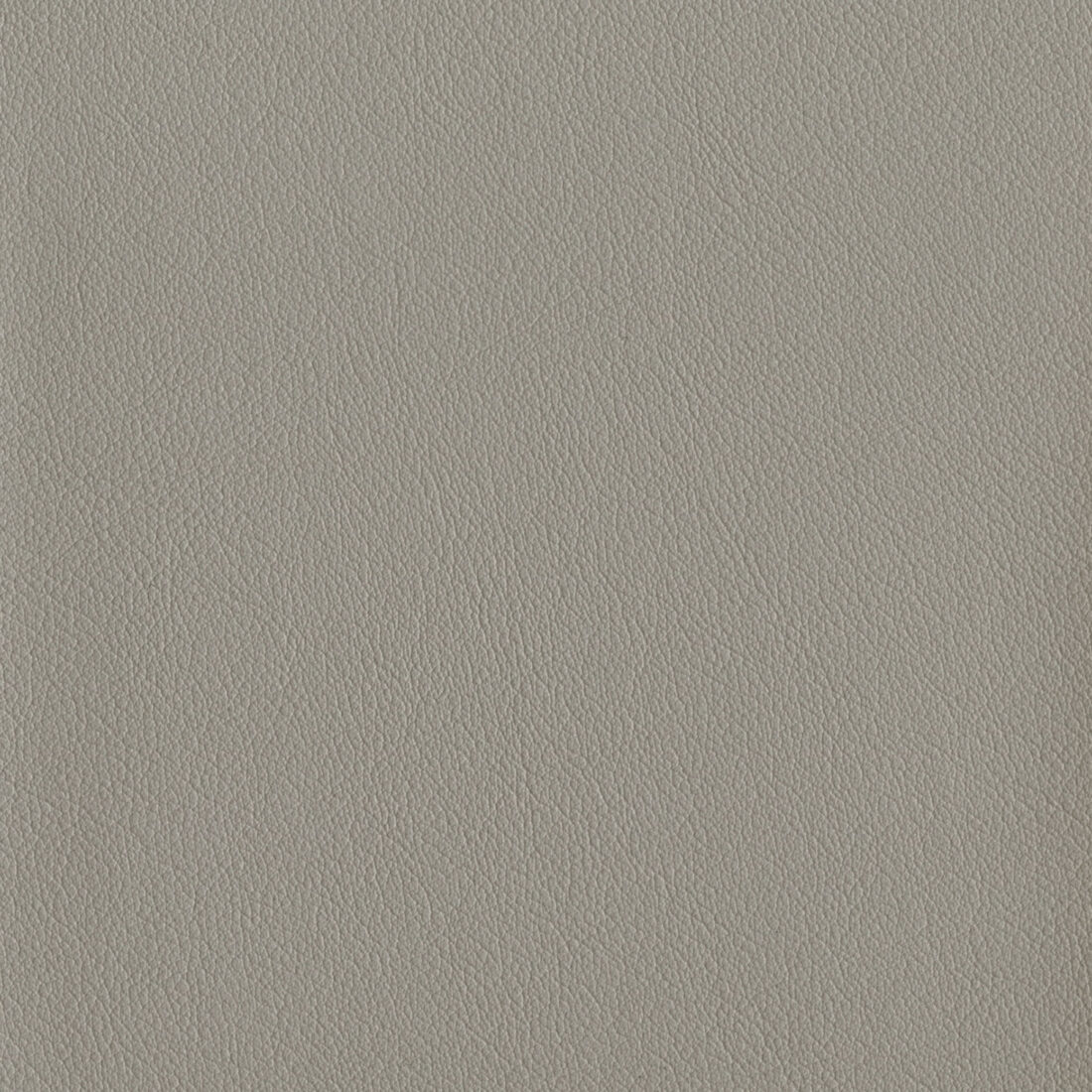 Ambla Lite | Ambla Vinyl Upholstery Fabrics | Plastic Coated Fabric